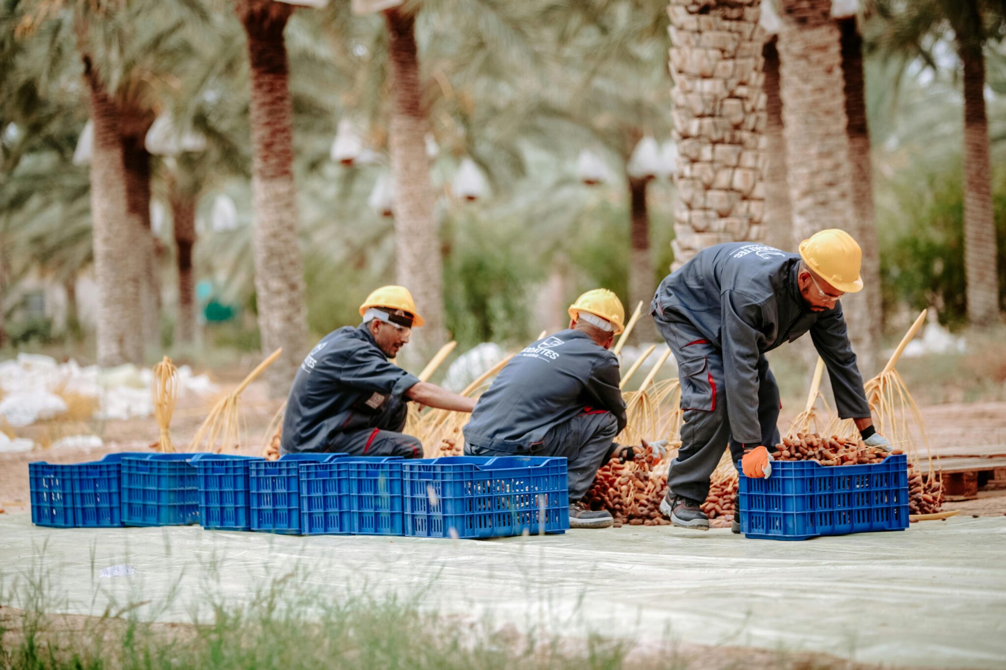 ANSI, OSHA, EN ISO Standards for Welding Protective Clothing Explained ...